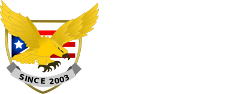 Airborne Security Services, Inc - Servicios de Seguridad e ...